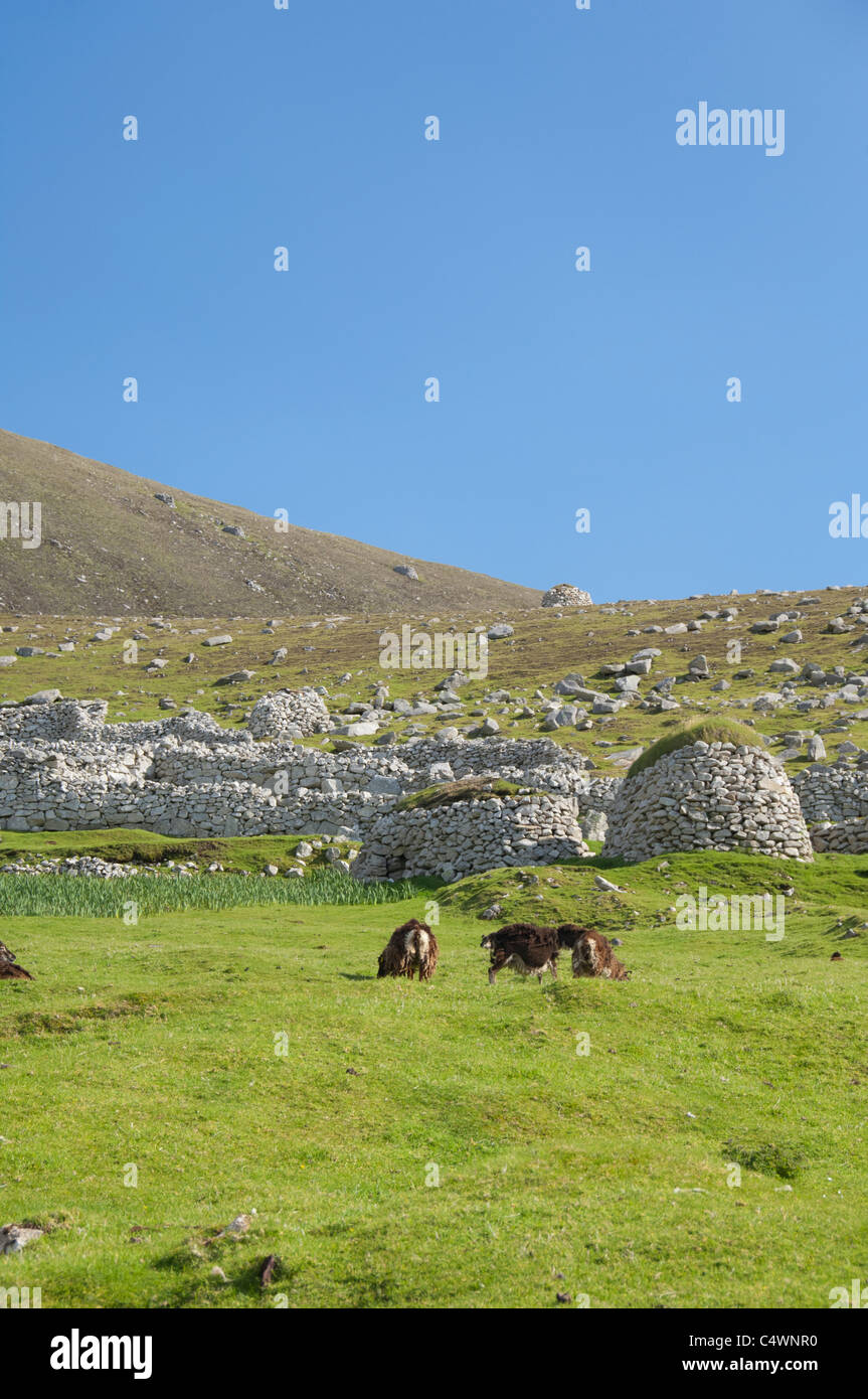 Scotland, St. Kilda Islands, Outer Hebrides. Historic island of Hirta ...