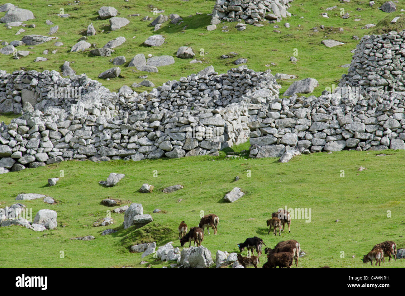 Scotland, St. Kilda Islands, Outer Hebrides. Historic island of Hirta ...