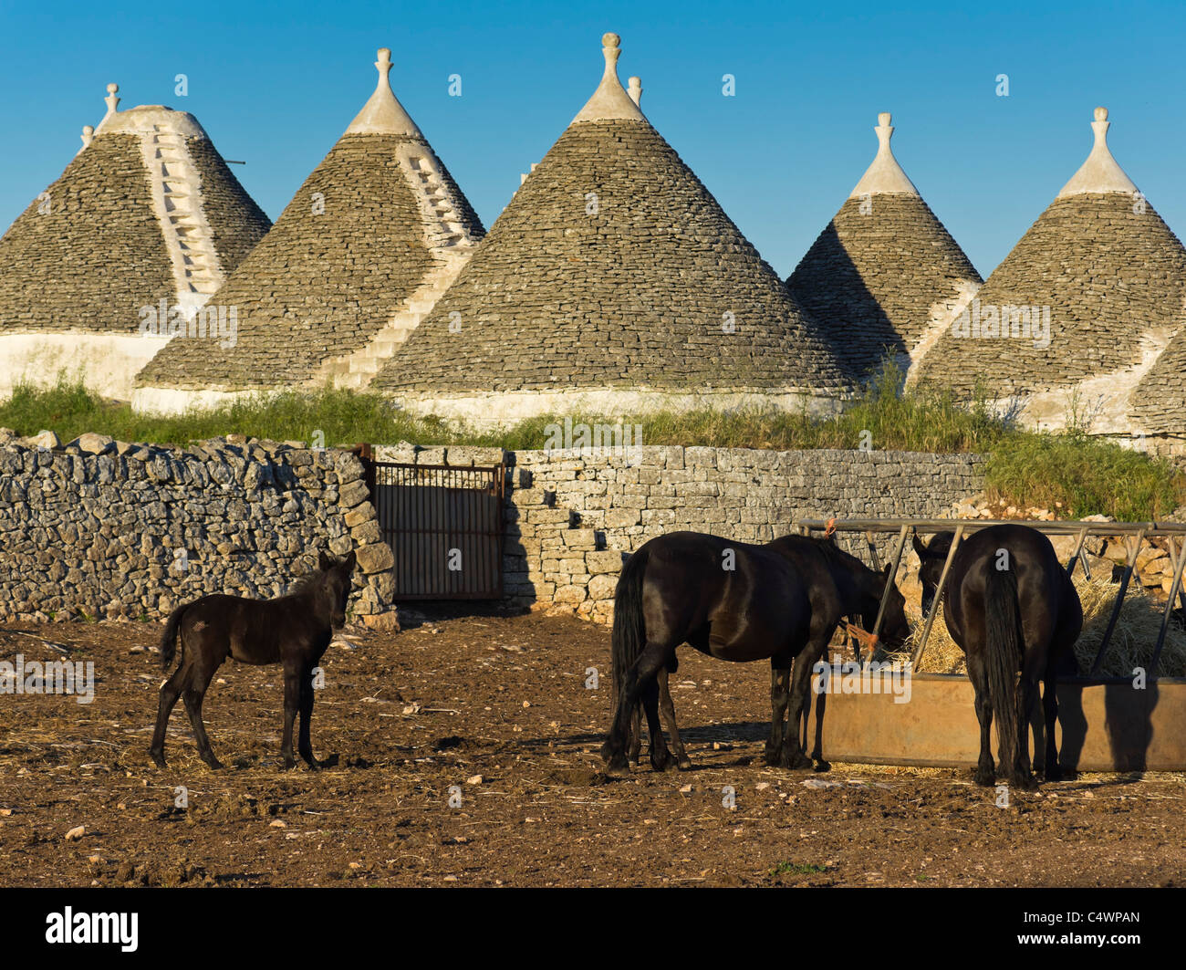trulli (singular, trullo) drystone conical roof buildings on farm ...