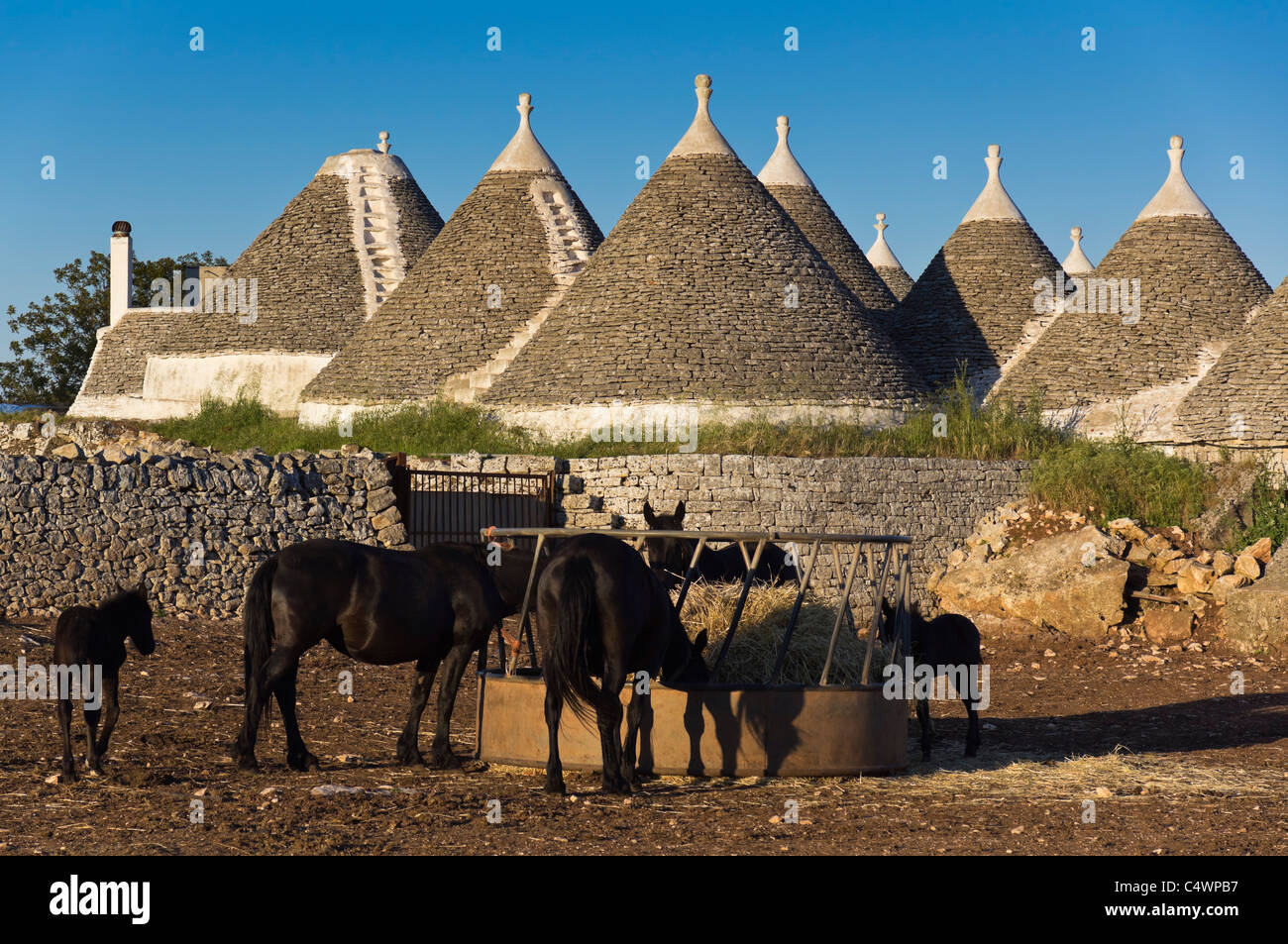 trulli (singular, trullo) drystone conical roof buildings on farm ...