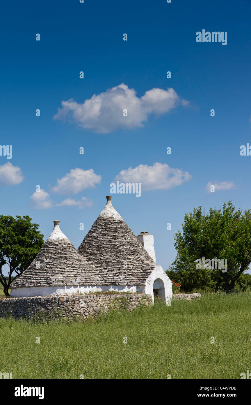 Puglia - traditional trulli (singular, trullo) drystone conical roof ...