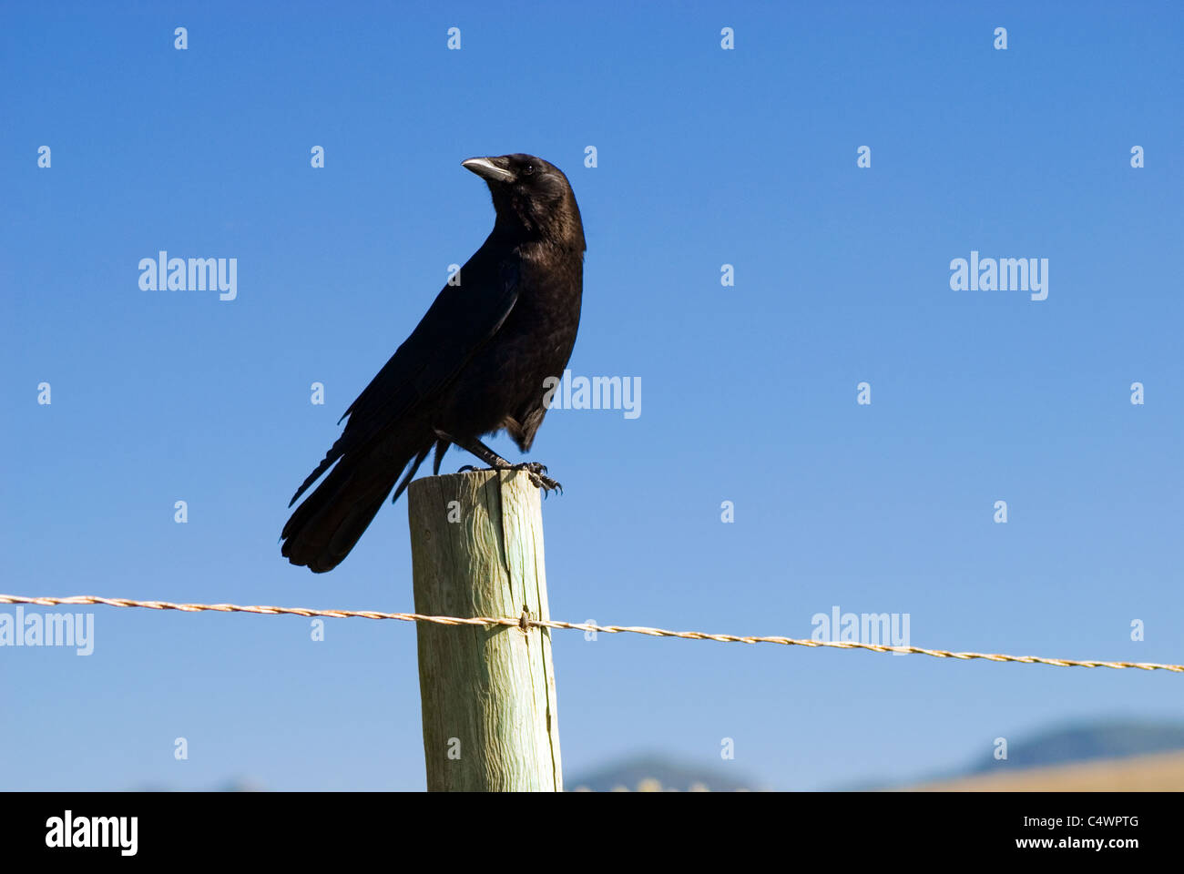 Shiny Barbed Wire High Resolution Stock Photography and Images - Alamy