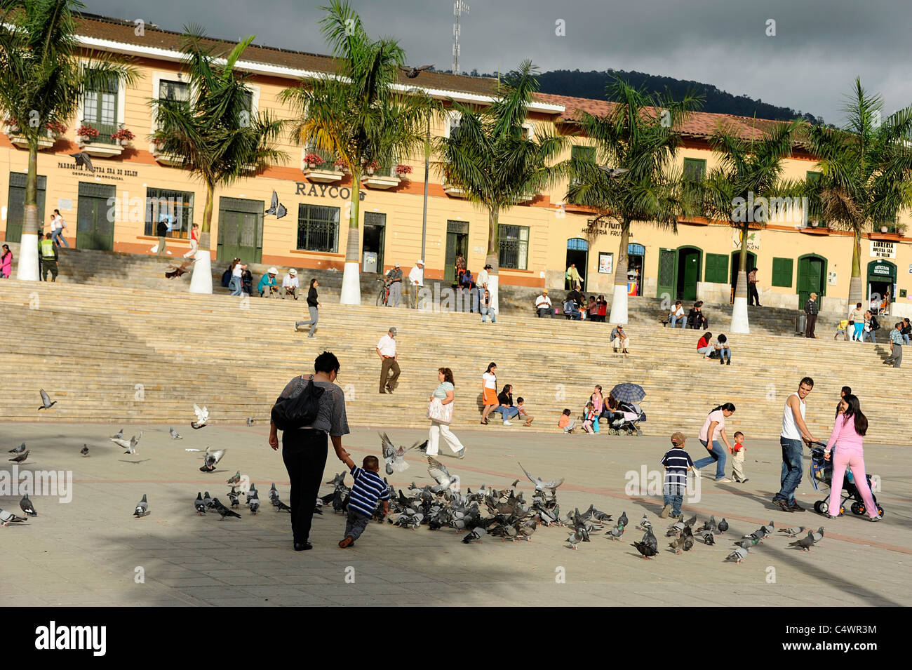 Pigeons in the Central Square of Fusagasuga, Colombia, South America ...