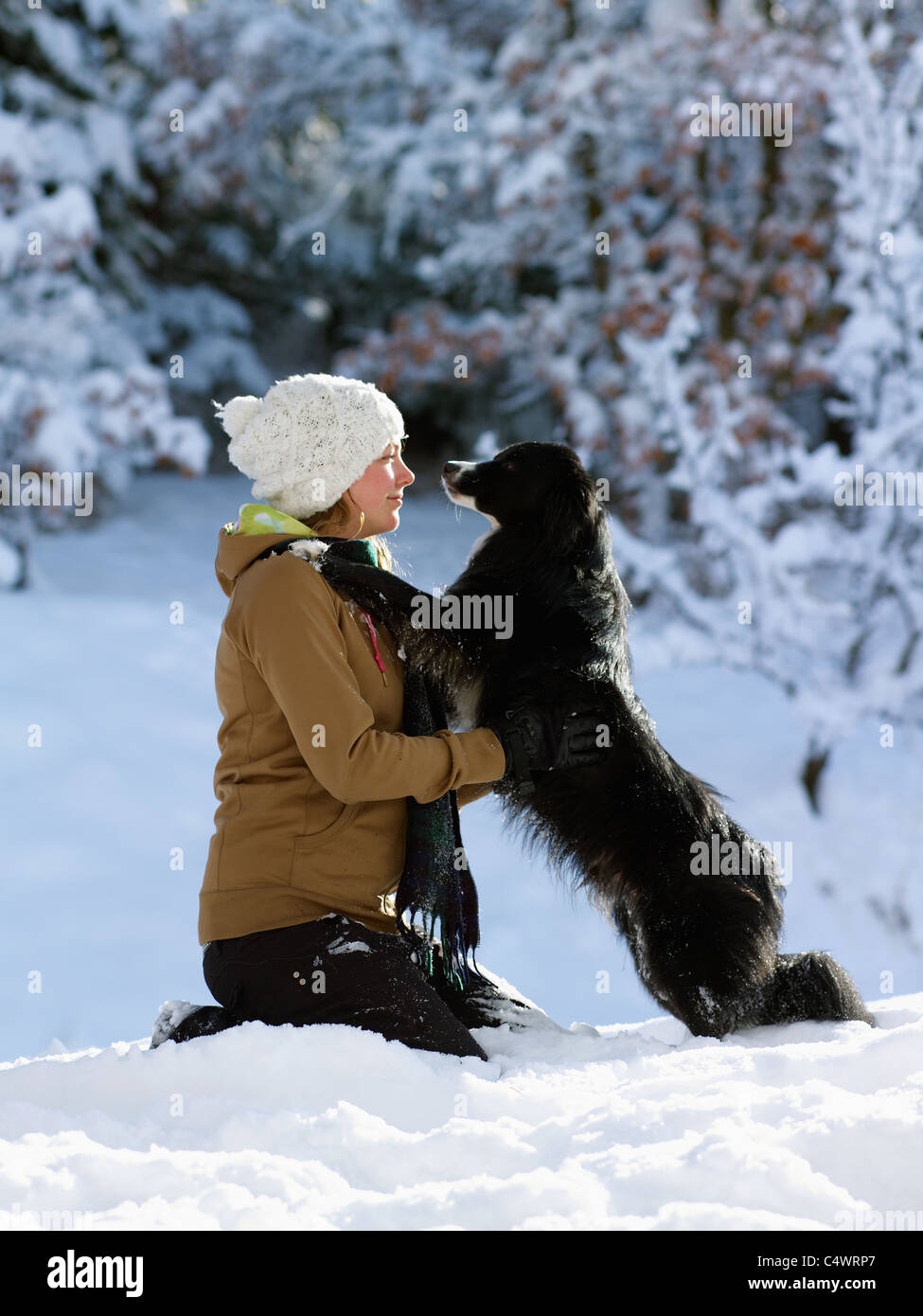 Usa colorado woman dog hi-res stock photography and images - Alamy