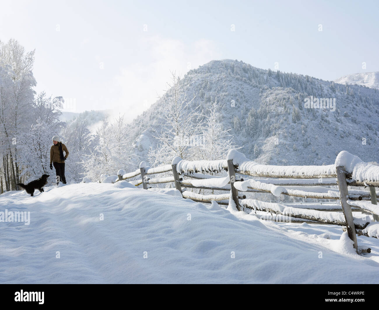USA,Colorado,woman and dog in snowy ranch Stock Photo - Alamy