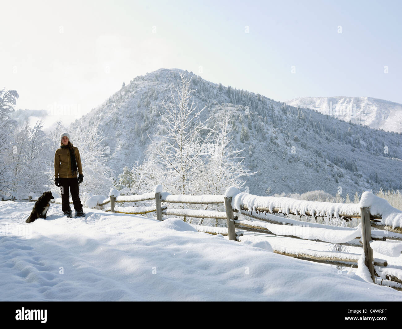 USA,Colorado,woman and dog in snowy ranch Stock Photo - Alamy