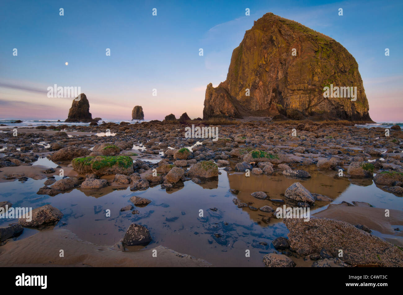 USA,Oregon,Clatsop County,Haystack Rock Stock Photo - Alamy