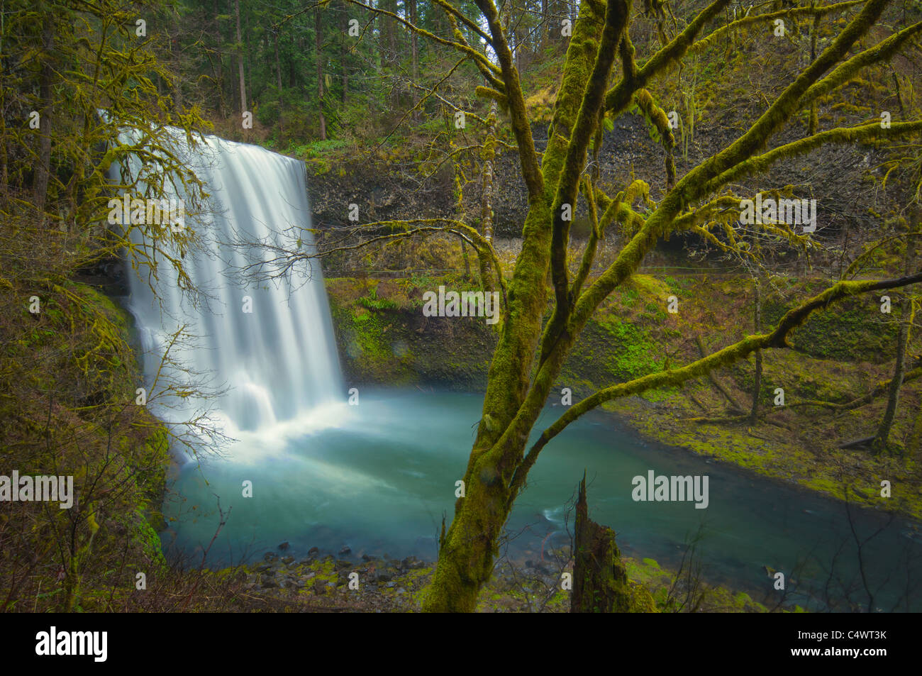 USA, Oregon, Silver Falls State Park, Lower South Falls Stock Photo - Alamy