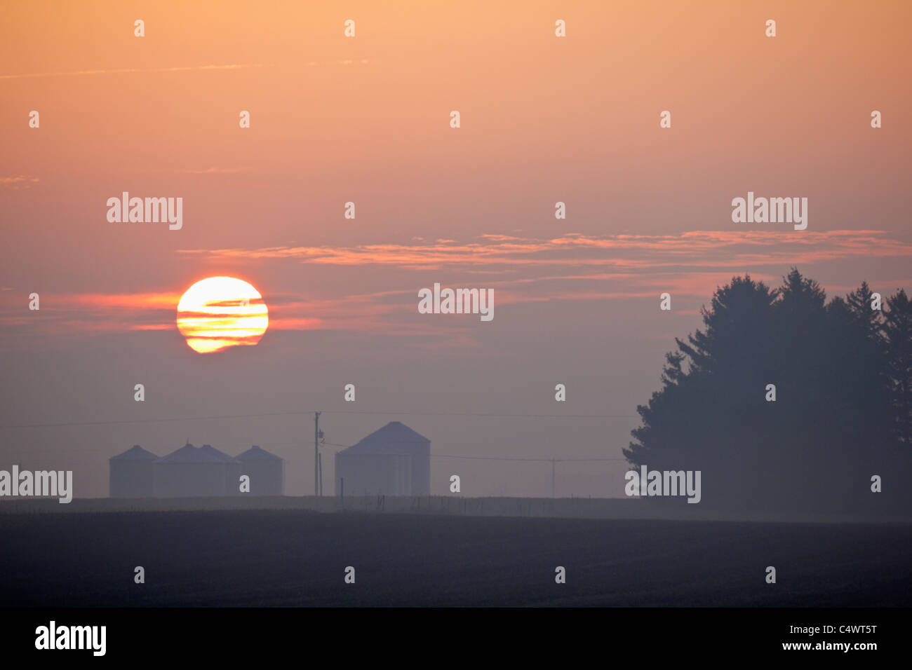 USA,Illinois,Springfield,Farm at sunrise Stock Photo - Alamy