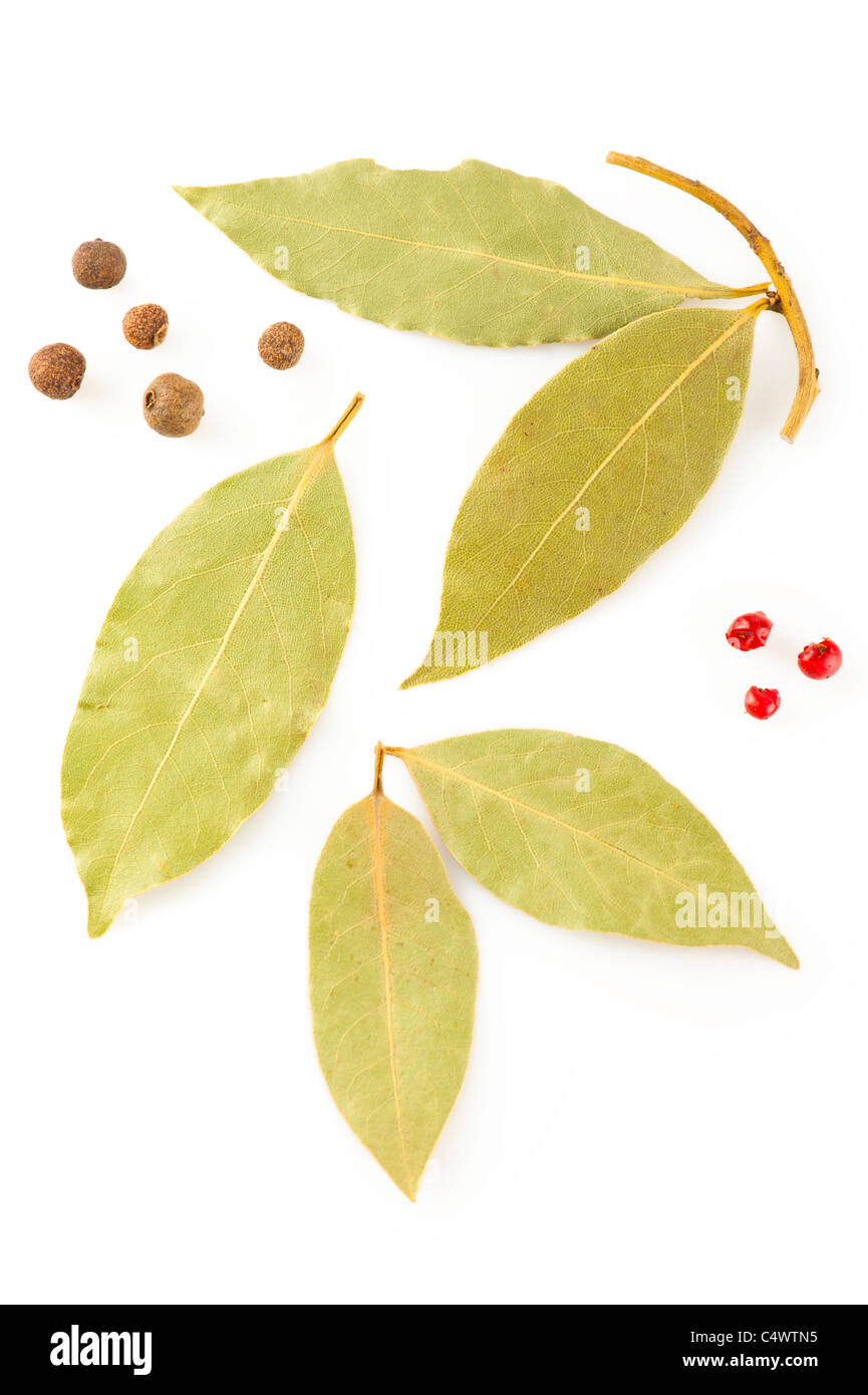 Spices. Dry laurel leaves and pepper balls on white background Stock ...