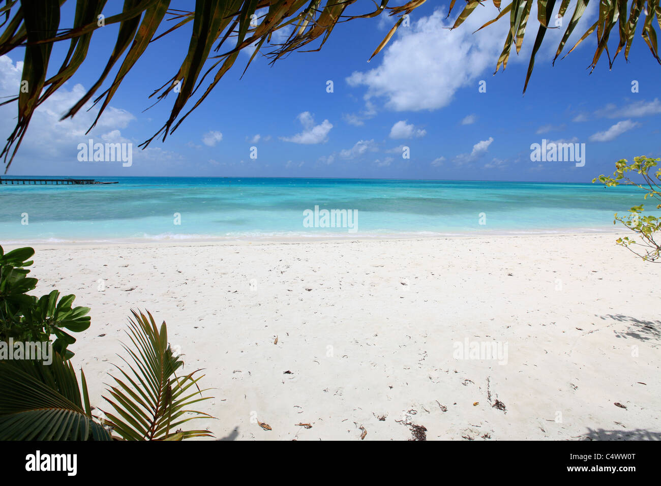 Deserted tropical beach Stock Photo - Alamy