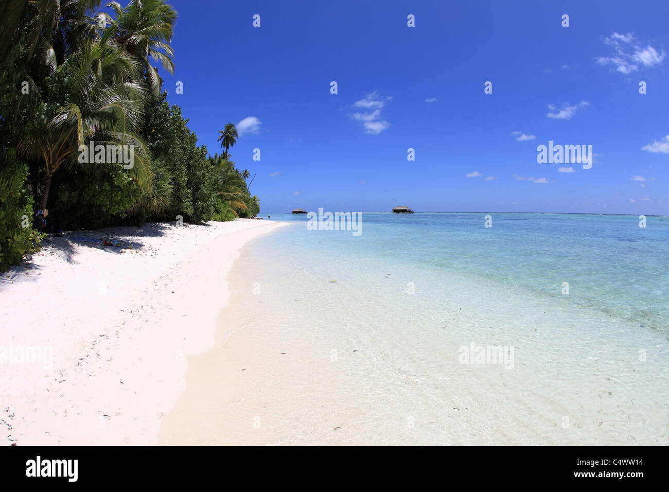 Deserted tropical beach Stock Photo - Alamy