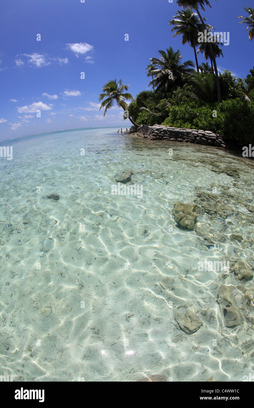 Deserted tropical beach Stock Photo - Alamy
