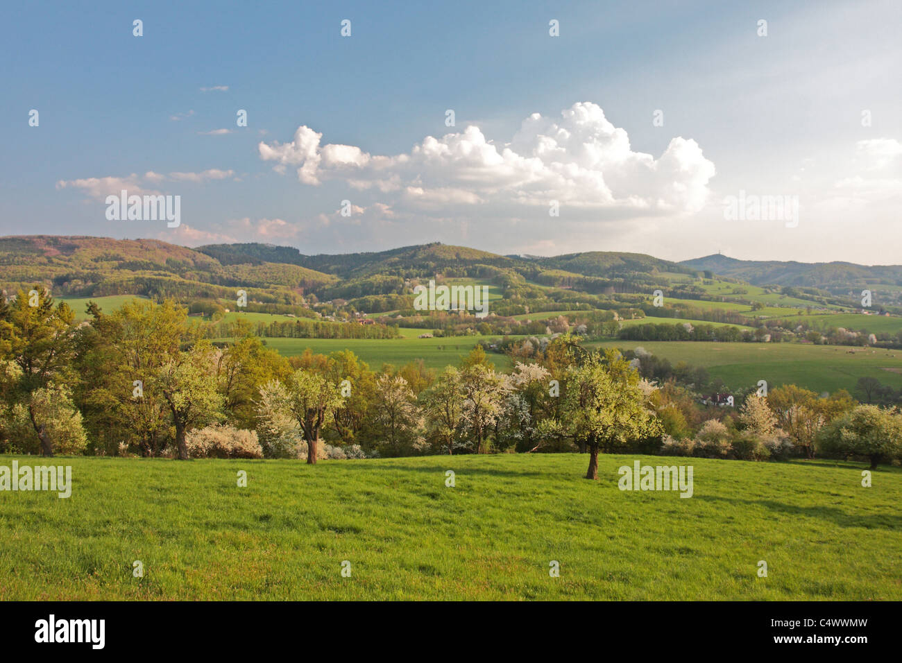 Hills in spring Stock Photo - Alamy