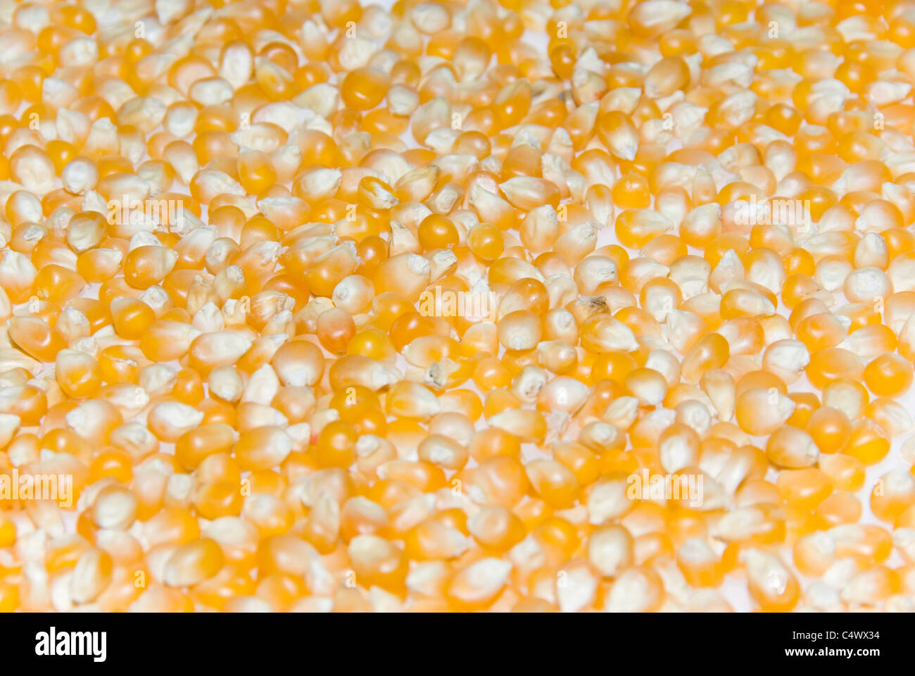 Scattered Popcorn Kernels, Background Stock Photo - Alamy