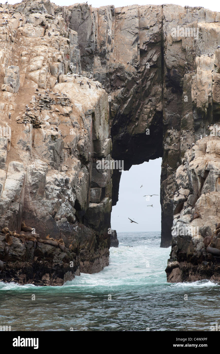 Colony of peru hi-res stock photography and images - Alamy