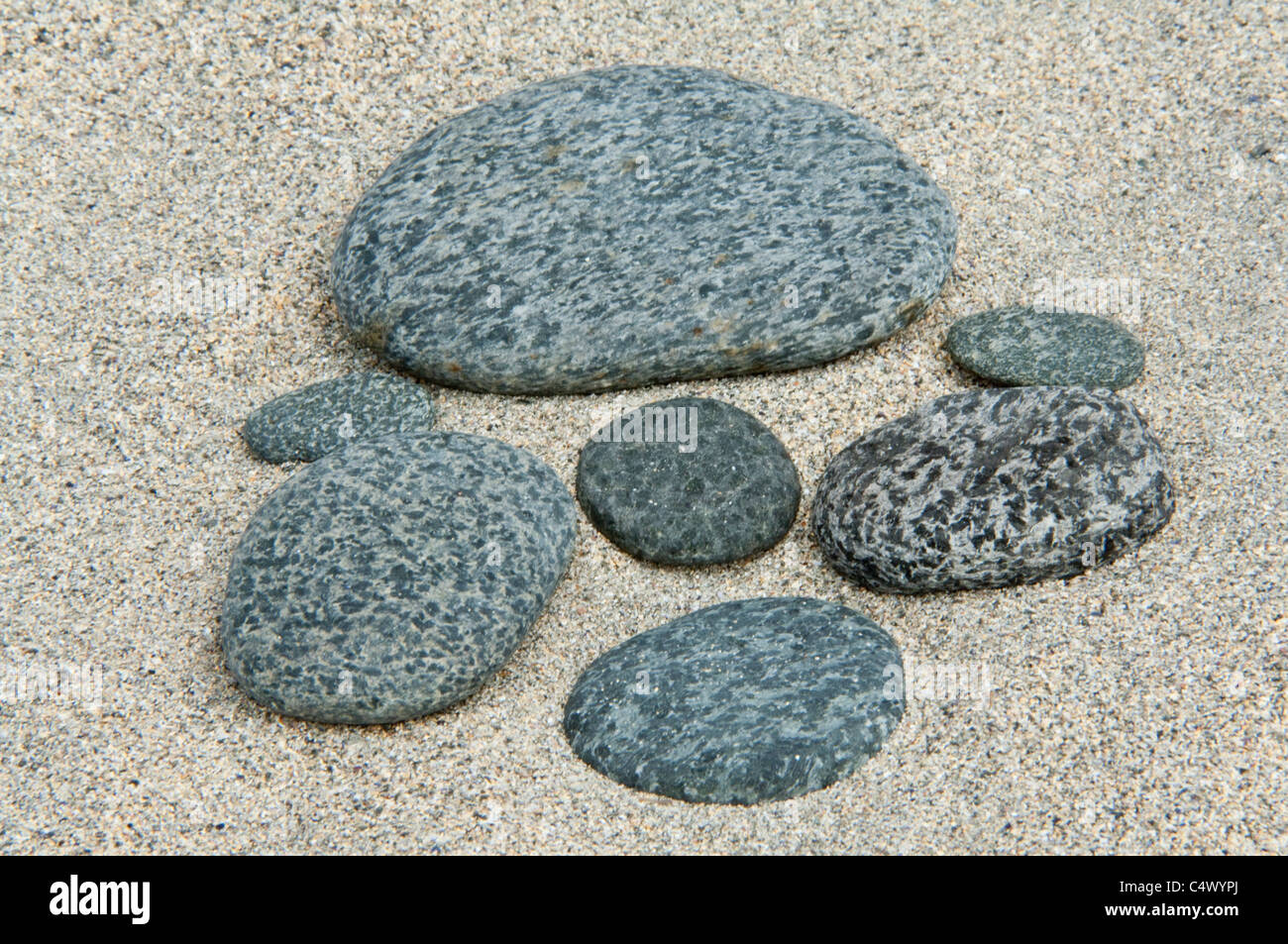 Selection of pebbles from St Ninian’s Isle tombolo Shetland Subarctic ...