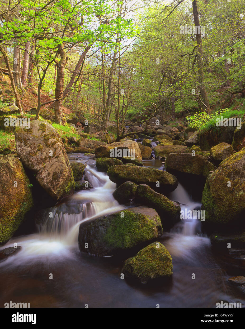 UK,Derbyshire,Peak District,Padley Gorge Stock Photo - Alamy