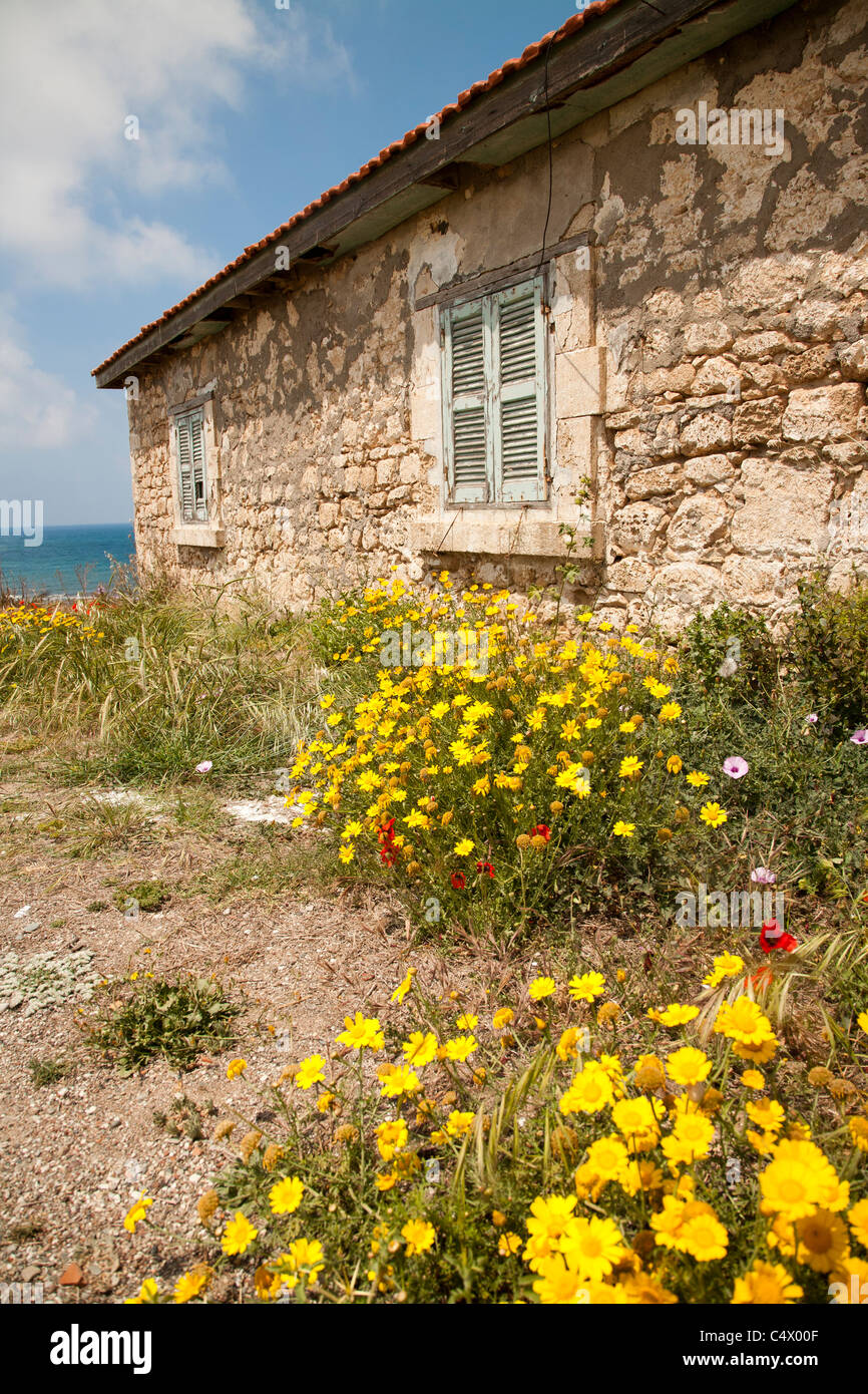 Old building by the lighthouse in Paphos, Cyprus Stock Photo - Alamy