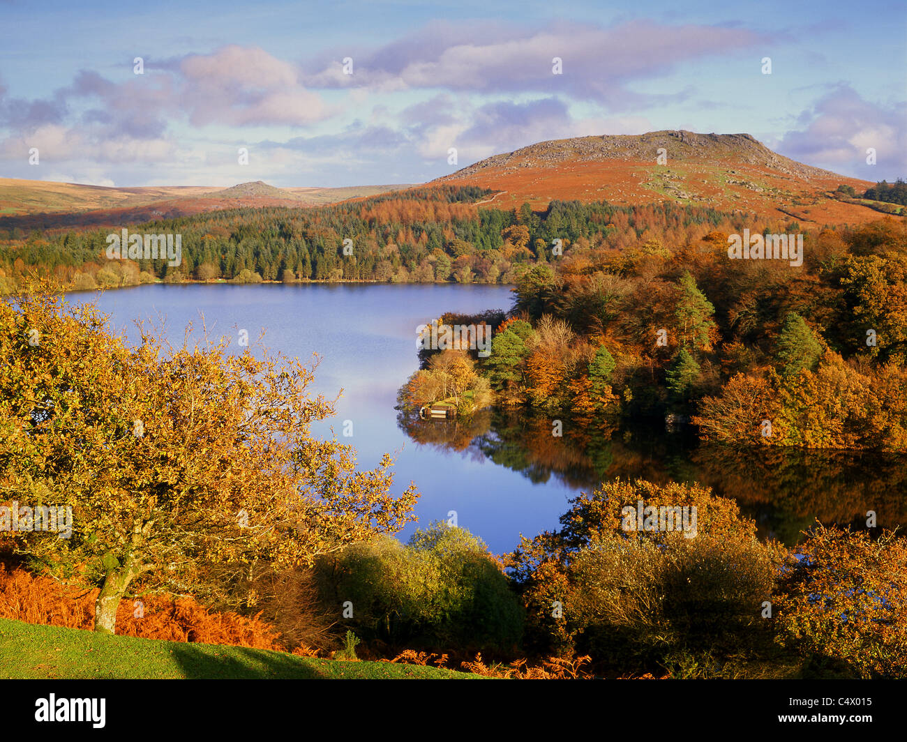 UK,Devon,Dartmoor, Burrator Reservoir Looking Towards Sheepstor Stock ...