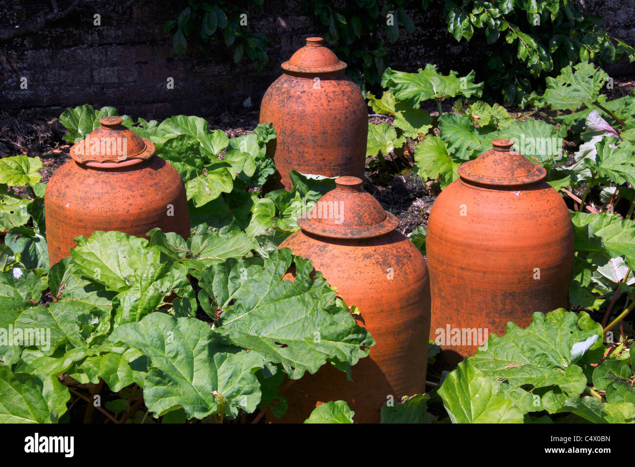 Rhubarb forcing pots Stock Photo - Alamy