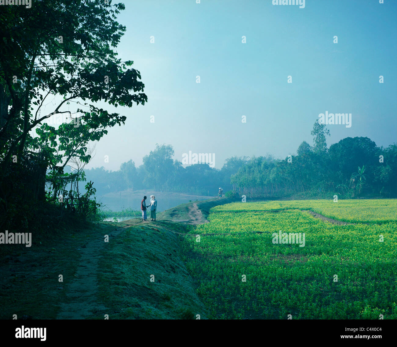 Bogra district hi-res stock photography and images - Alamy