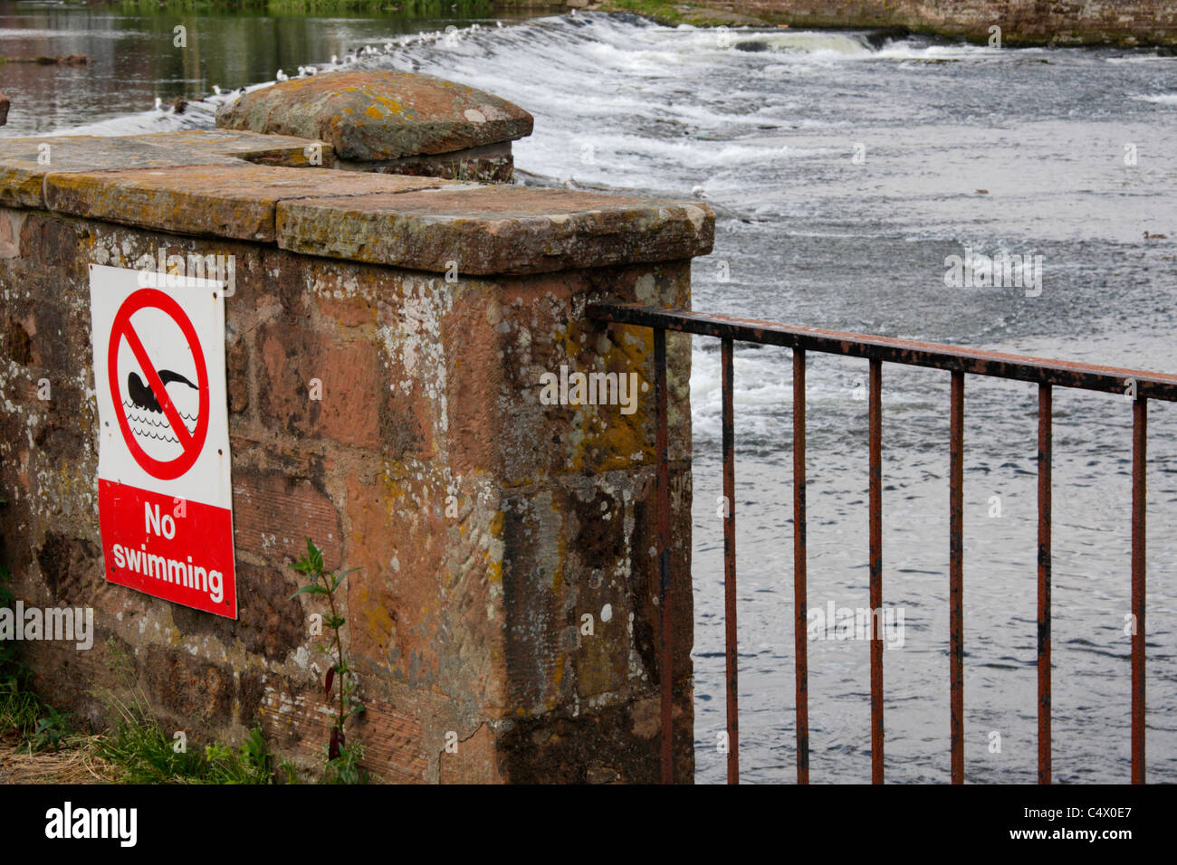 No swimmimg sign next to river Stock Photo - Alamy