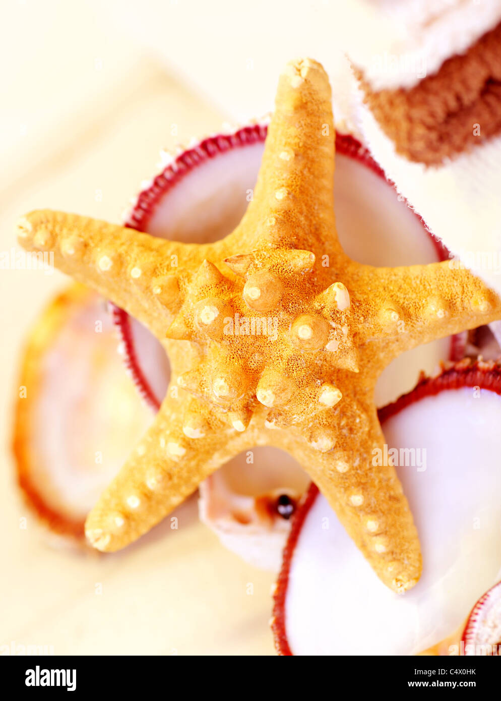 Abstract starfish detail hi-res stock photography and images - Alamy
