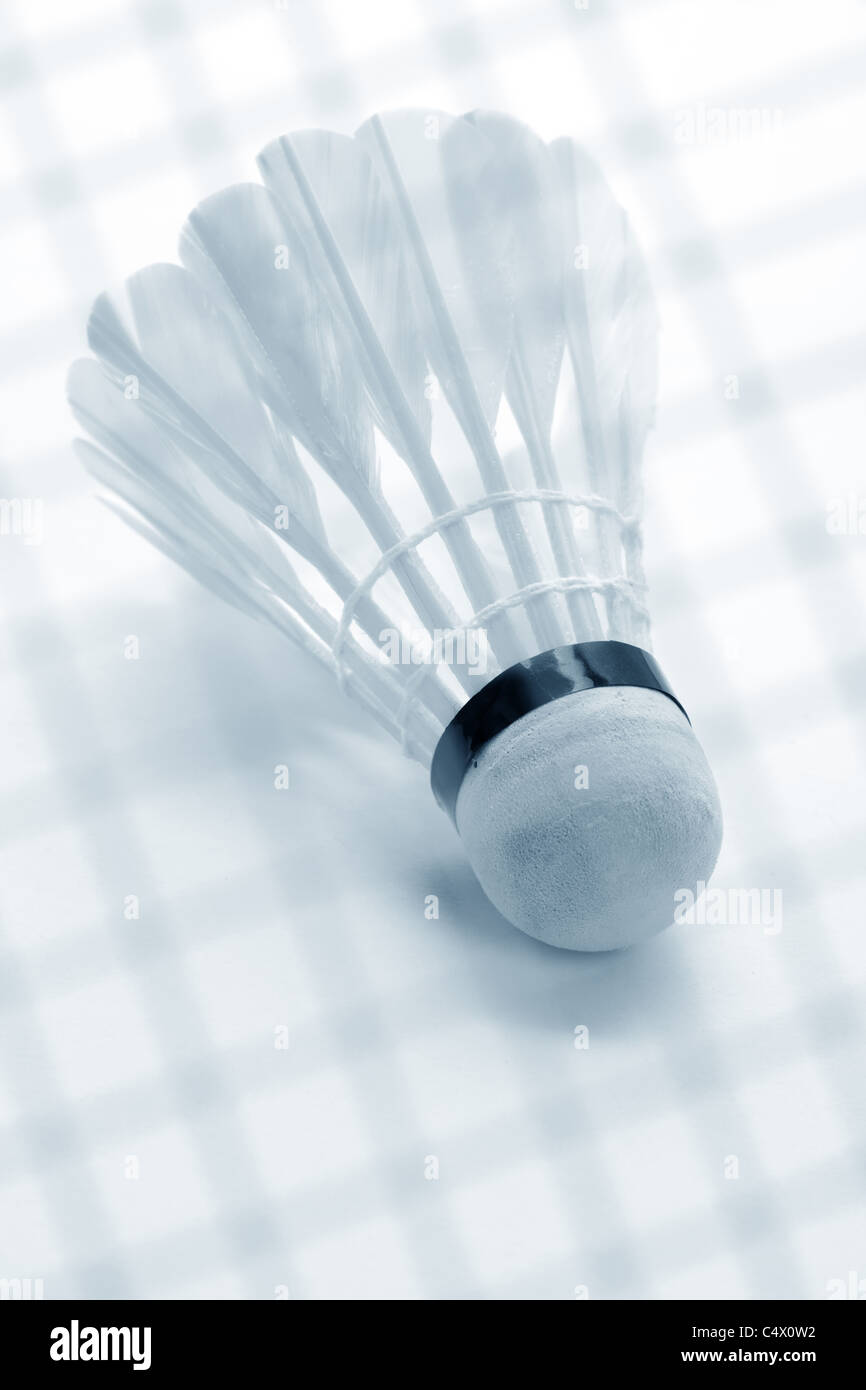 Badminton and net Stock Photo - Alamy