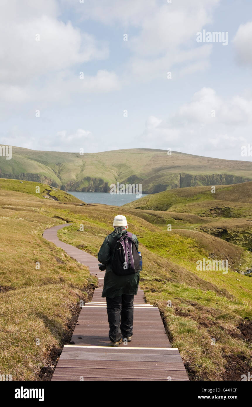Hermaness shetland person people hi-res stock photography and images ...