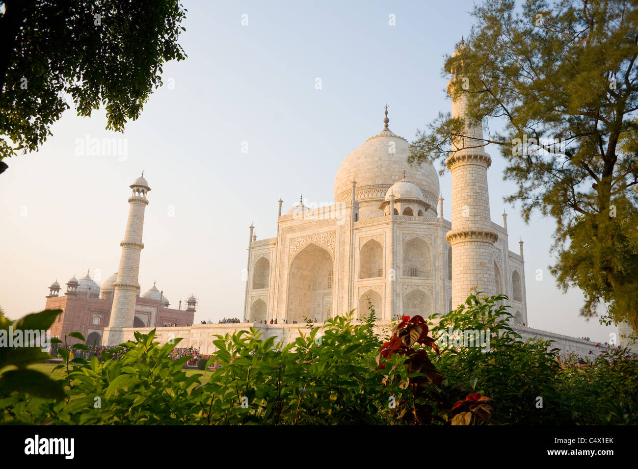 The Taj Mahal at Agra in Uttar Pradesh state, India Stock Photo - Alamy