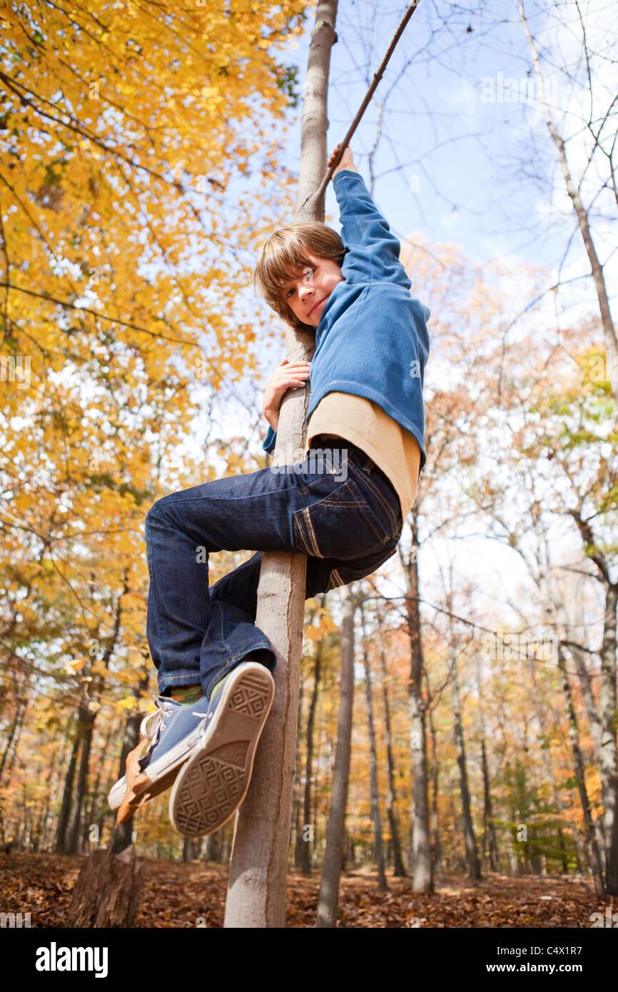 boy playing on tree Stock Photo - Alamy