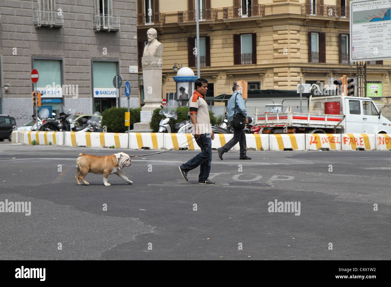 Man walking his dog in the city center of Naples, Italy Stock Photo - Alamy