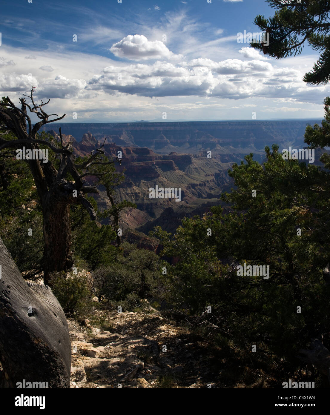 Panoramic view of "Bright Angel" point from North Rim of Grand Canyon ...