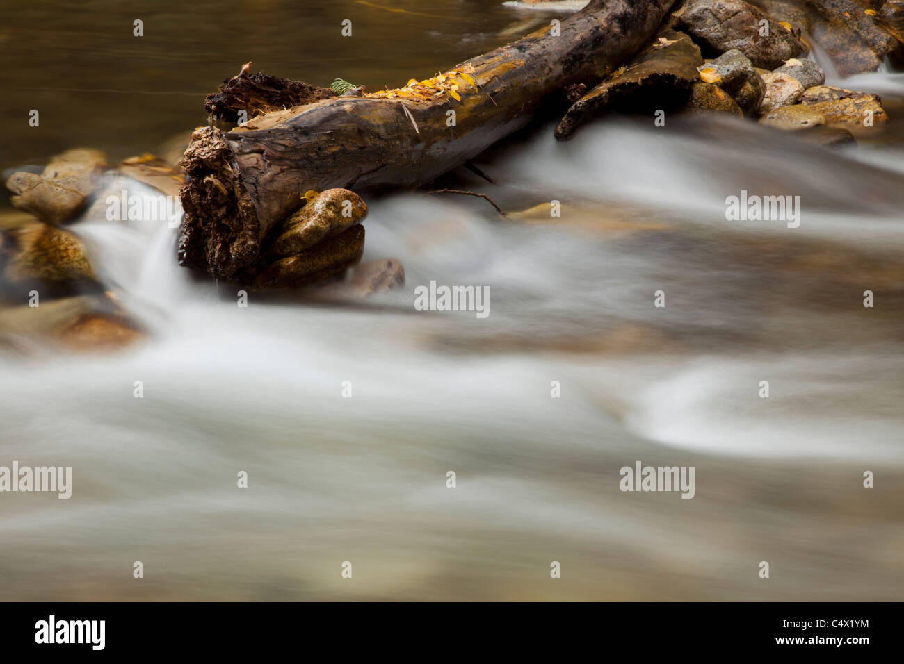 Beautiful soothing slow motion river water flowing over log and rocks ...