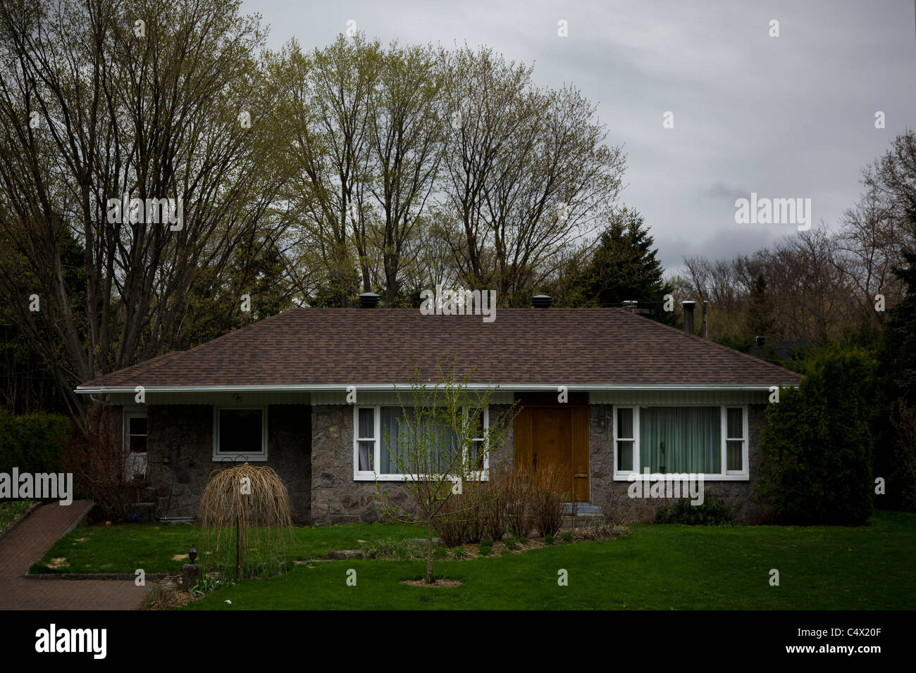 Sellery Stock Photos & Sellery Stock Images - Alamy