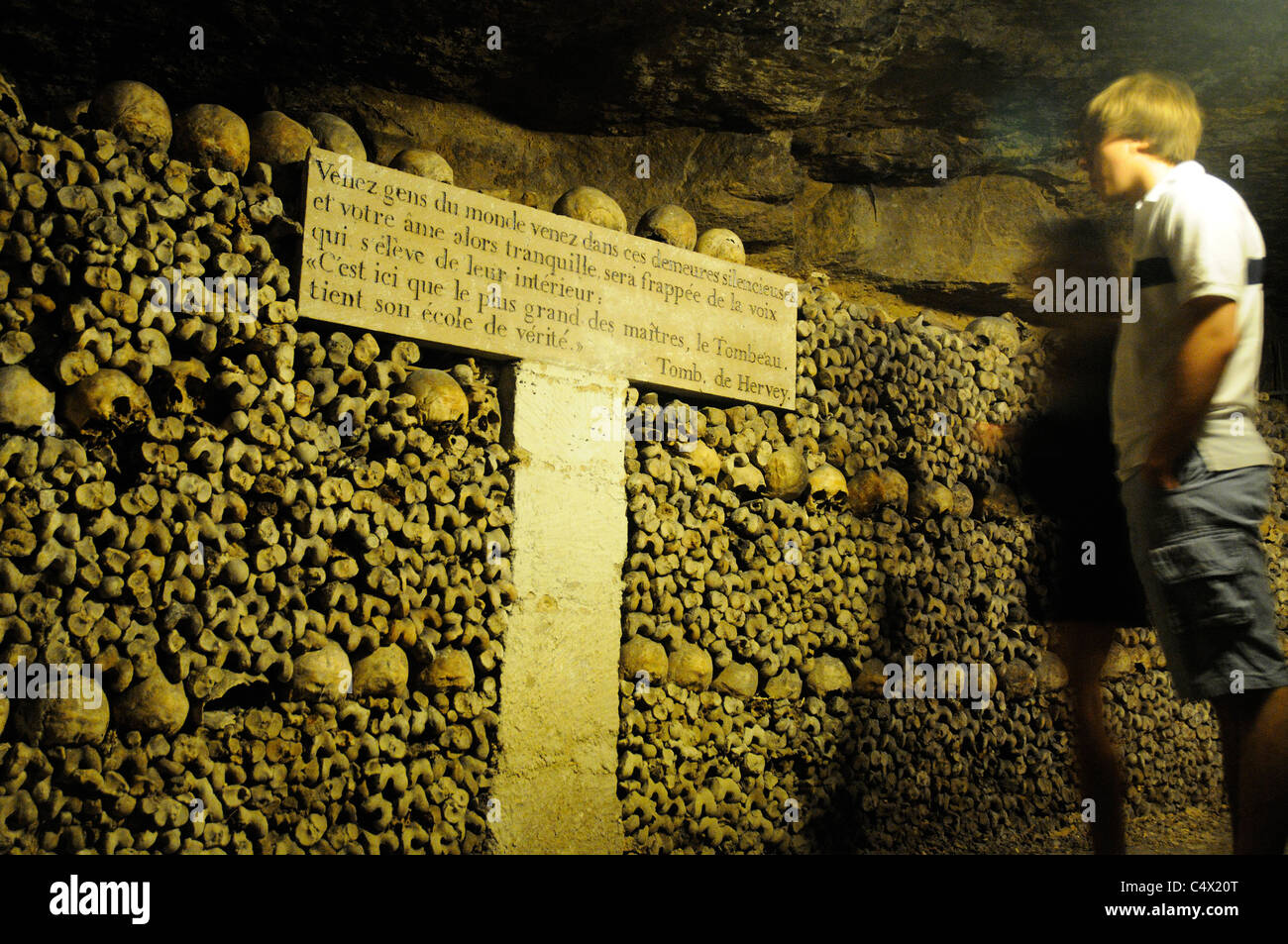 Human skulls bones pile hi-res stock photography and images - Alamy