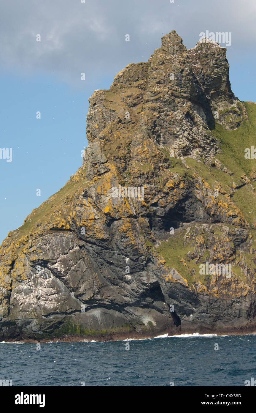 Scotland, St. Kilda Islands, Outer Hebrides. Island of Boreray, home to ...