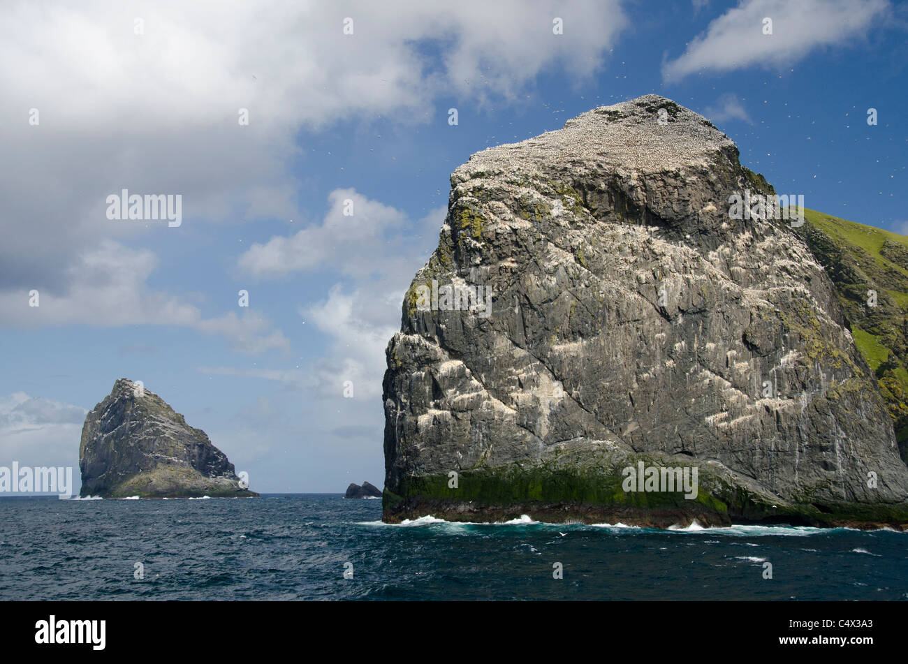 Scotland, St. Kilda Islands, Outer Hebrides. Island of Boreray Stock ...