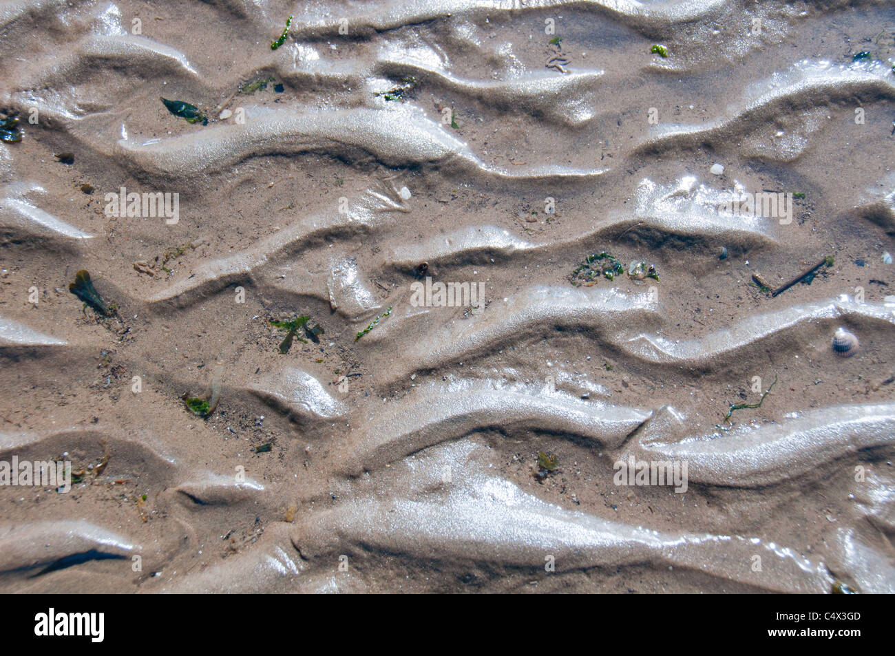 Sand ripples form a wave design on the beach Stock Photo - Alamy