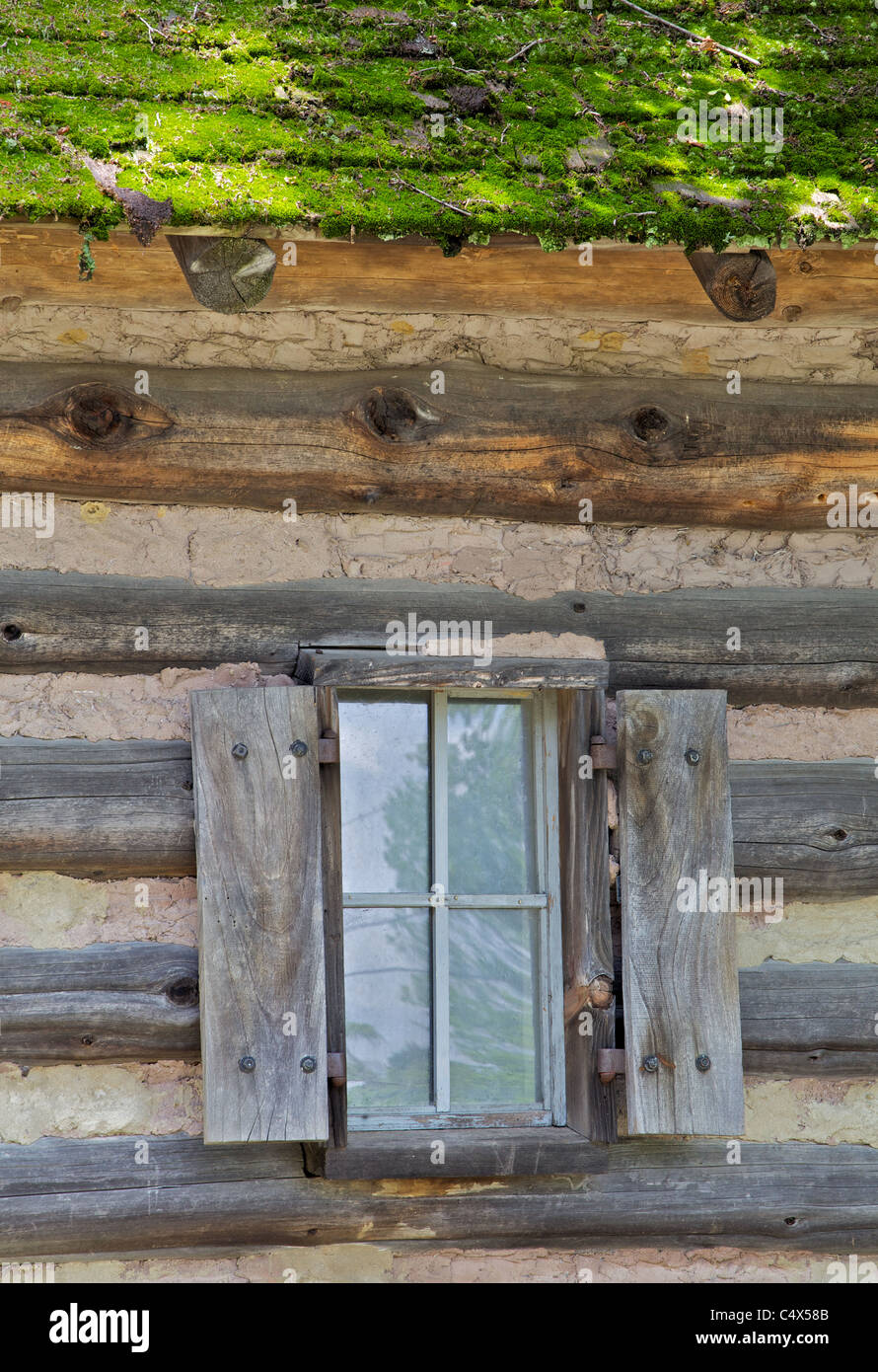 Rustic Natural Wood Window on a Log Cabin with Bright Green Moss on the ...