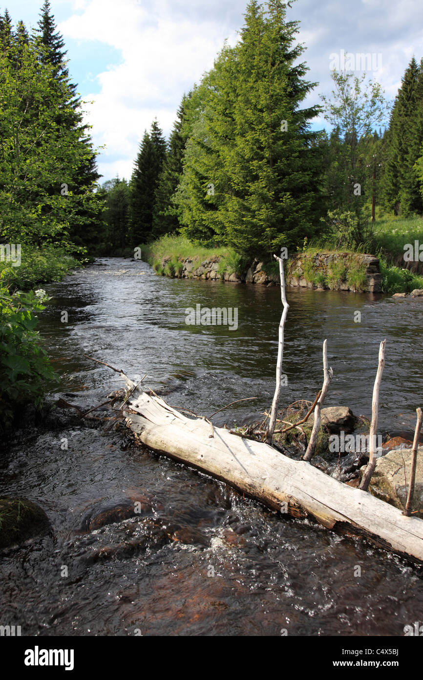landscape and dead tree in river Vltava Bohemian Forest, Czech Republic ...