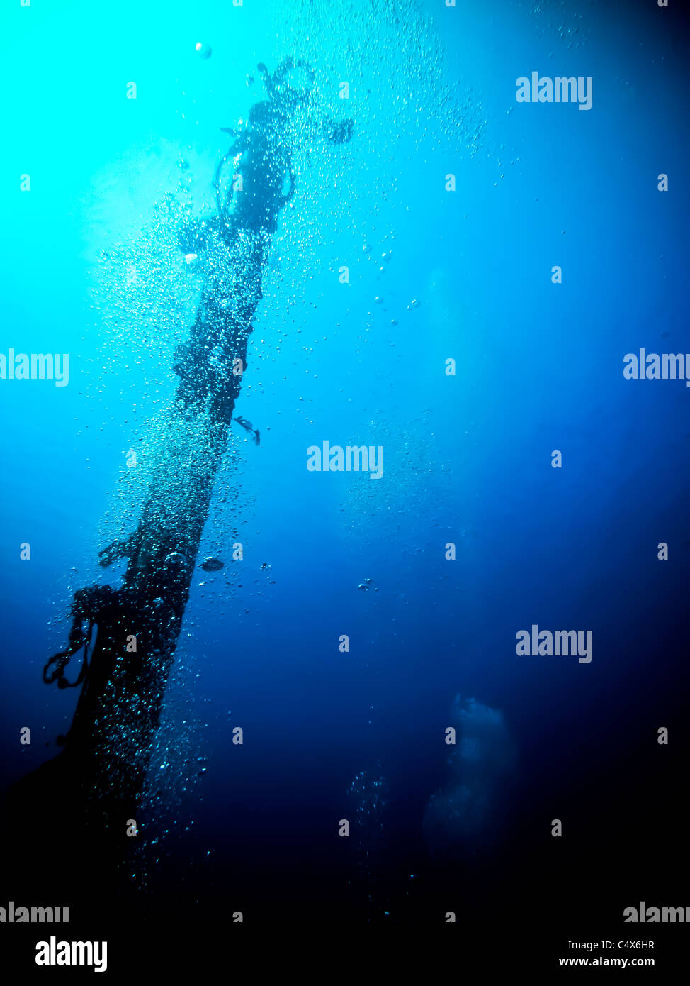 Ship Wreck Dive, Roatan, The Bay Islands, Honduras, Central America ...