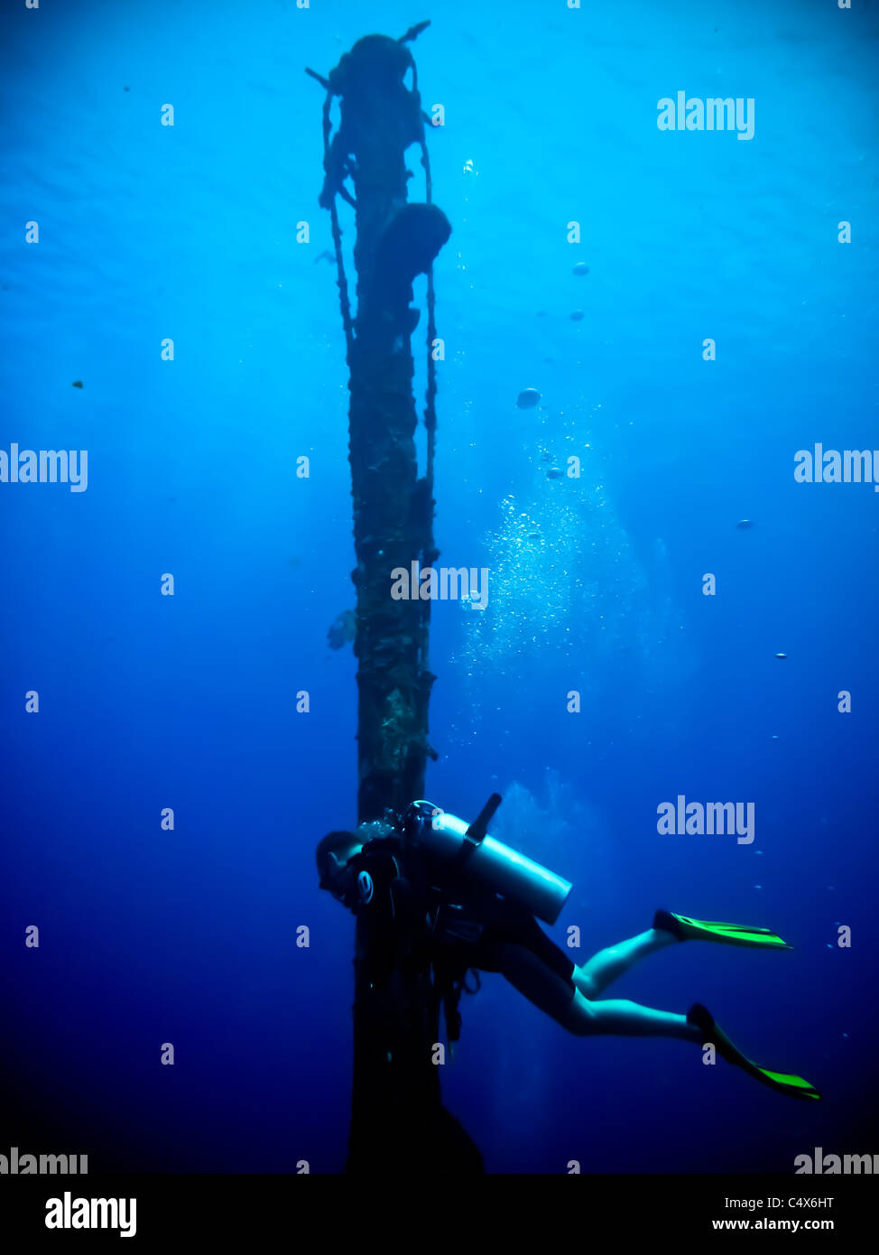 Ship Wreck Dive, Roatan, The Bay Islands, Honduras, Central America ...