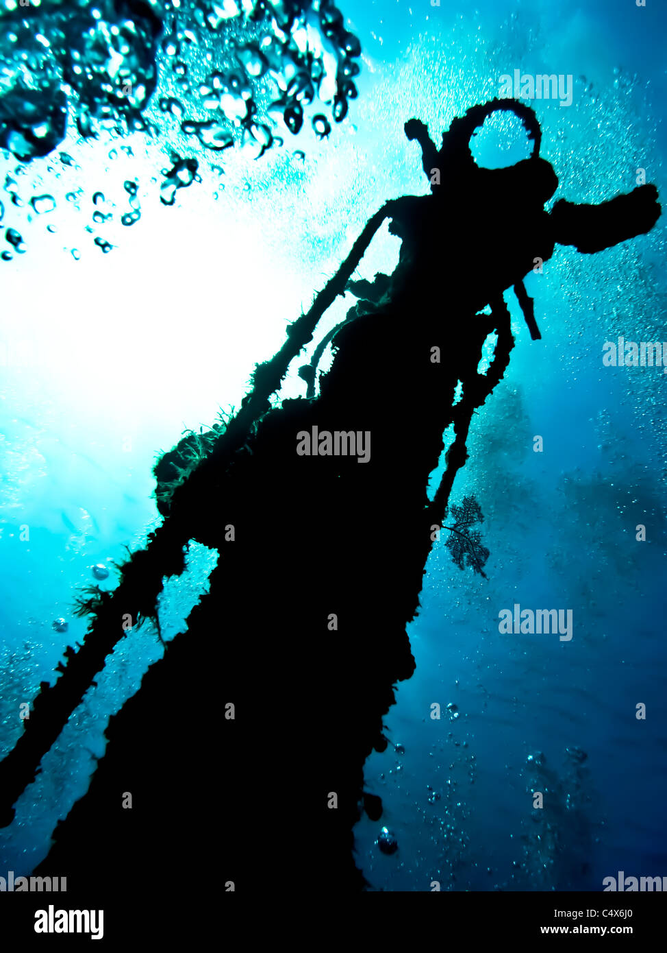 Ship Wreck Dive, Roatan, The Bay Islands, Honduras, Central America ...