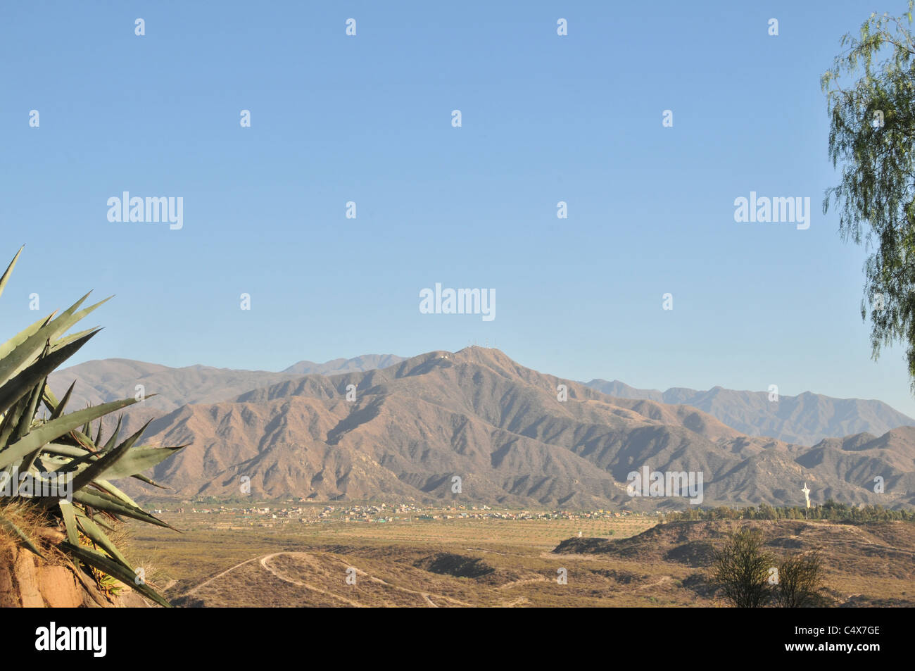 Blue sky cactus view of gullied Andean peaks, brown arid landscape and ...