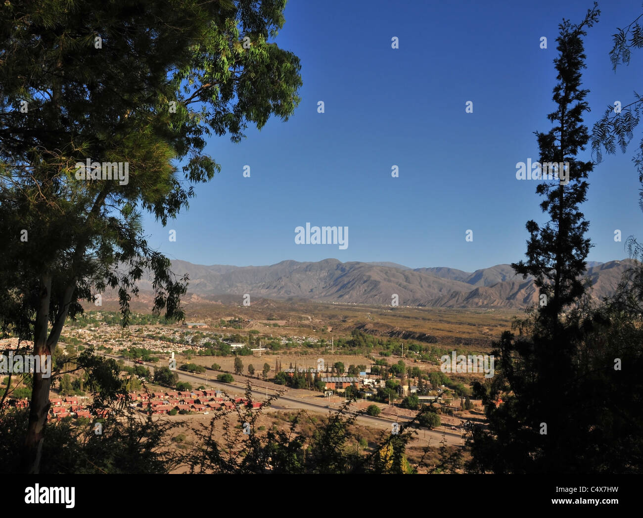 Blue sky tree view, towards Andes, of suburb homes in the semi-desert ...