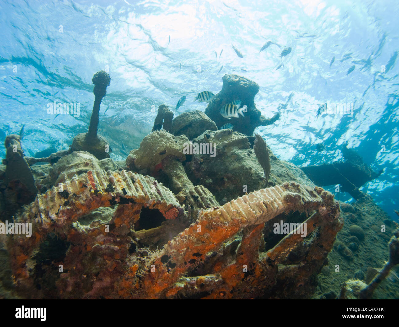 Egg island bahamas hi-res stock photography and images - Alamy