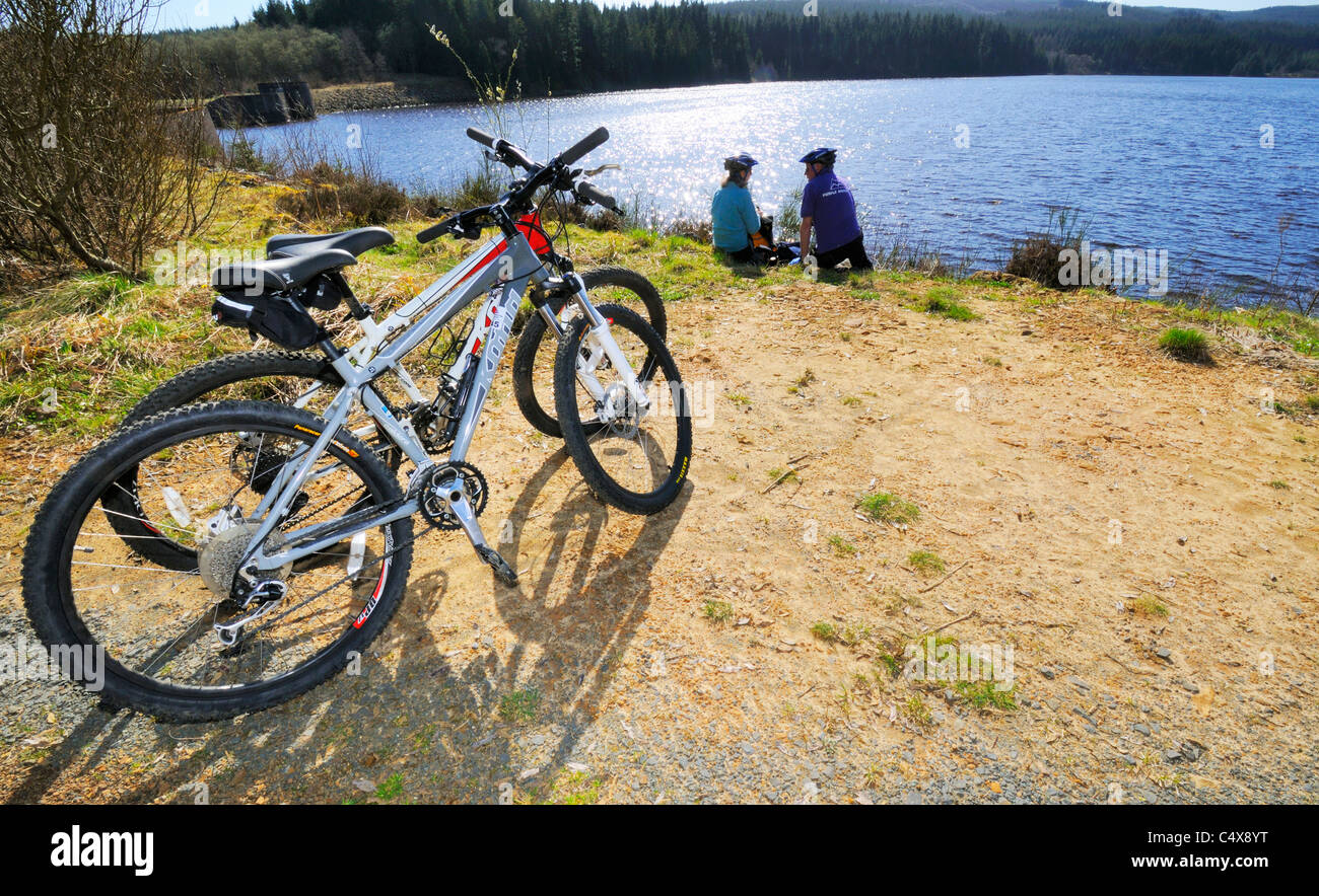 Cyclists with mountain bikes rest on cycle route in Kielder Water ...