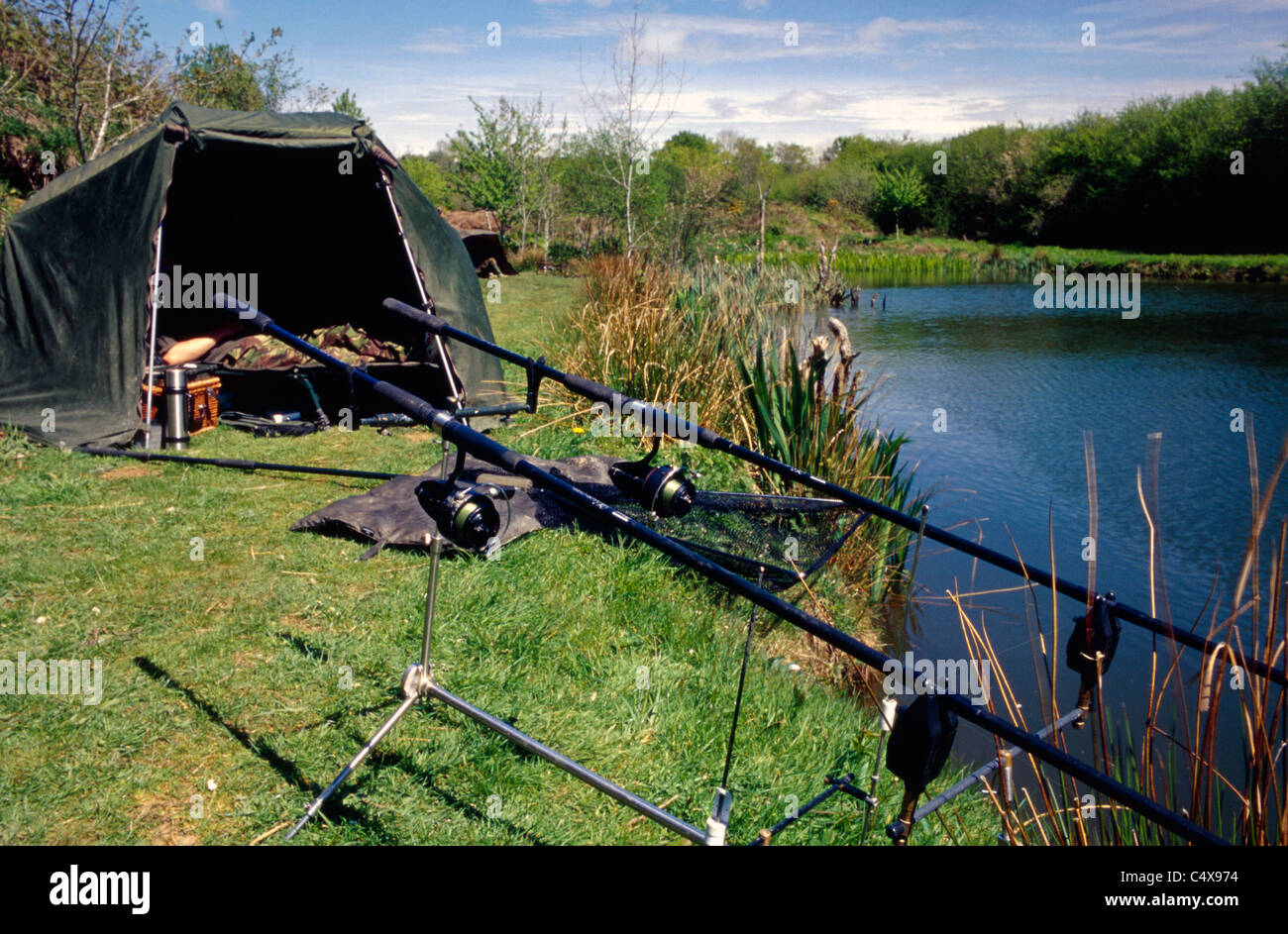 Carp Angler in bivvy by rods at lake. Coombe Fisheries, Milton Combe ...